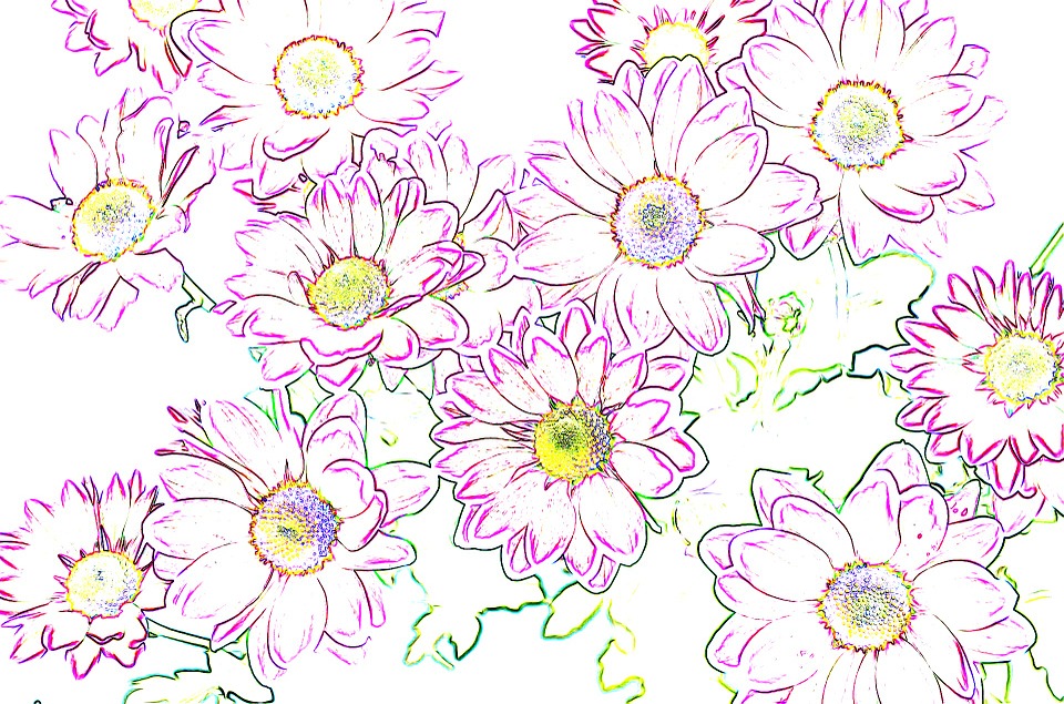 Les fleurs de la petite Ida - Un conte de Hans Christian Andersen ...