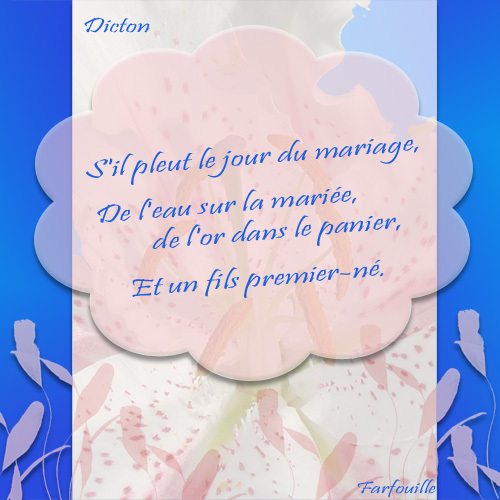 Dicton et dictons qu'est ce qu'un dicton ? - Dicton - Cultivons nous