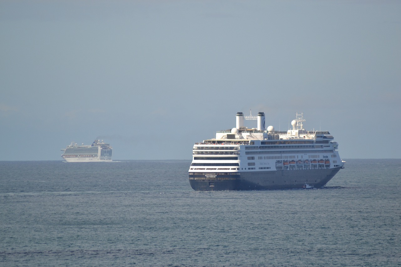 Prendre une croisière de luxe, quels sont les points à surveiller ...