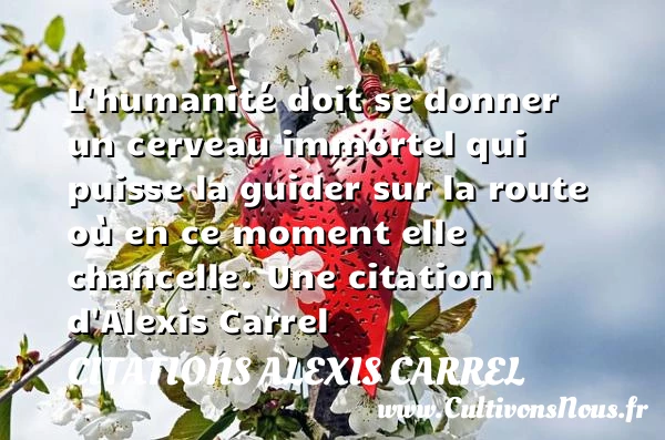 L'humanité doit se donner un cerveau immortel qui puisse la guider ...