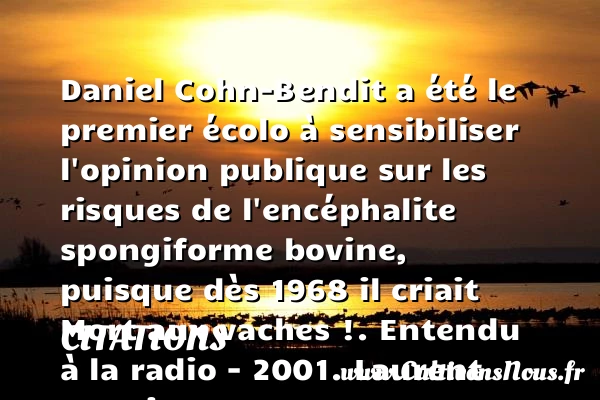 Daniel Cohn-Bendit a été le premier - Citations, Citations Laurent ...
