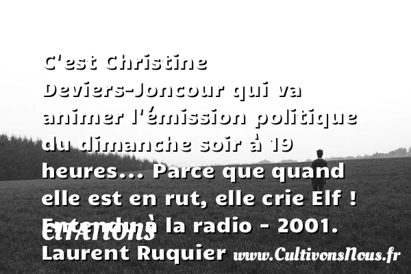C'est Christine Deviers-Joncour qui va - Citations, Citations Laurent ...