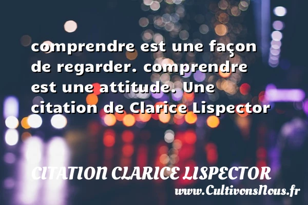 comprendre est une façon de regarder. comprendre est une attitude. Une ...