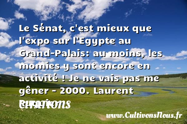 Le Sénat, c'est mieux que l'expo sur - Citations, Citations Laurent ...