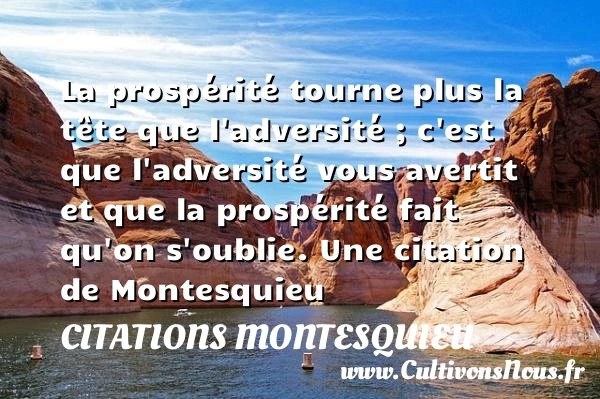 La prospérité tourne plus la tête que l'adversité ; c'est que l ...