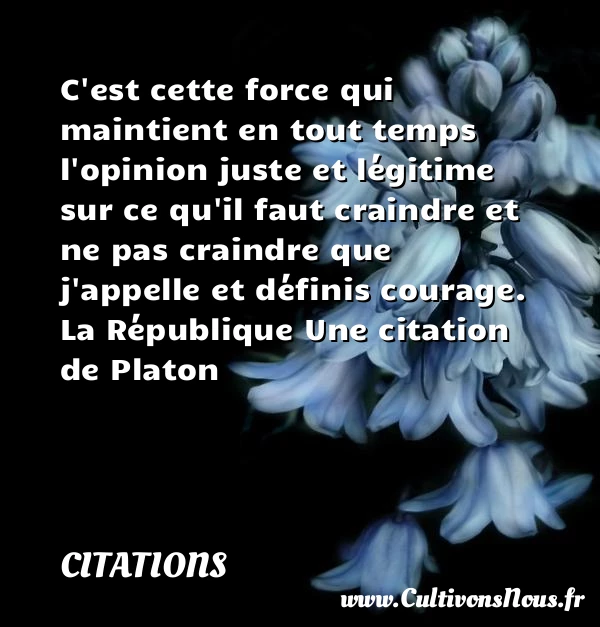 C'est cette force qui - Citations, Citations Platon - Cultivons nous