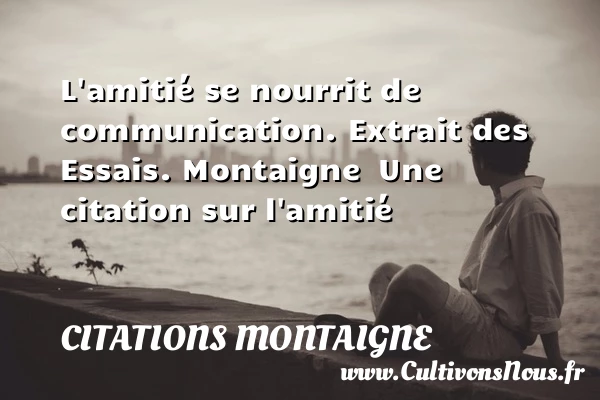 L'amitié se nourrit de communication - Citations Montaigne - Cultivons nous