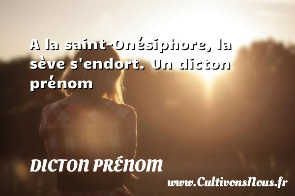 A la saint-Onésiphore, la sève s'endort. Un dicton prénom