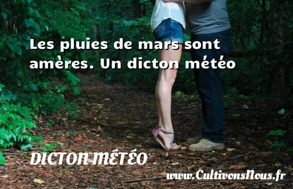Les pluies de mars sont amères. Un dicton sur la météo
