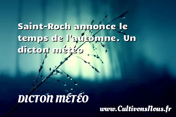 Saint-Roch annonce le temps de l'automne. Un dicton sur la météo