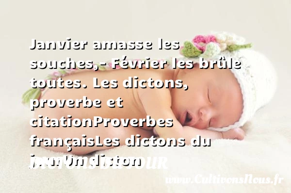 Janvier amasse les souches, - Dictons du jour - Cultivons nous