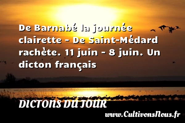 De Barnabé la journée - Dictons du jour - Cultivons nous