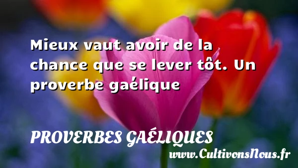 Mieux vaut avoir de la chance que se lever tôt. Un proverbe gaélique