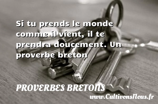 Si tu prends le monde comme il vient, il te prendra doucement. Un ...