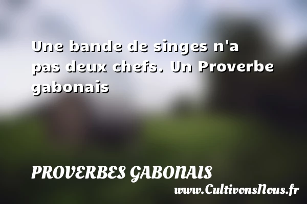 Une bande de singes n'a pas deux chefs. Un proverbe gabonais
